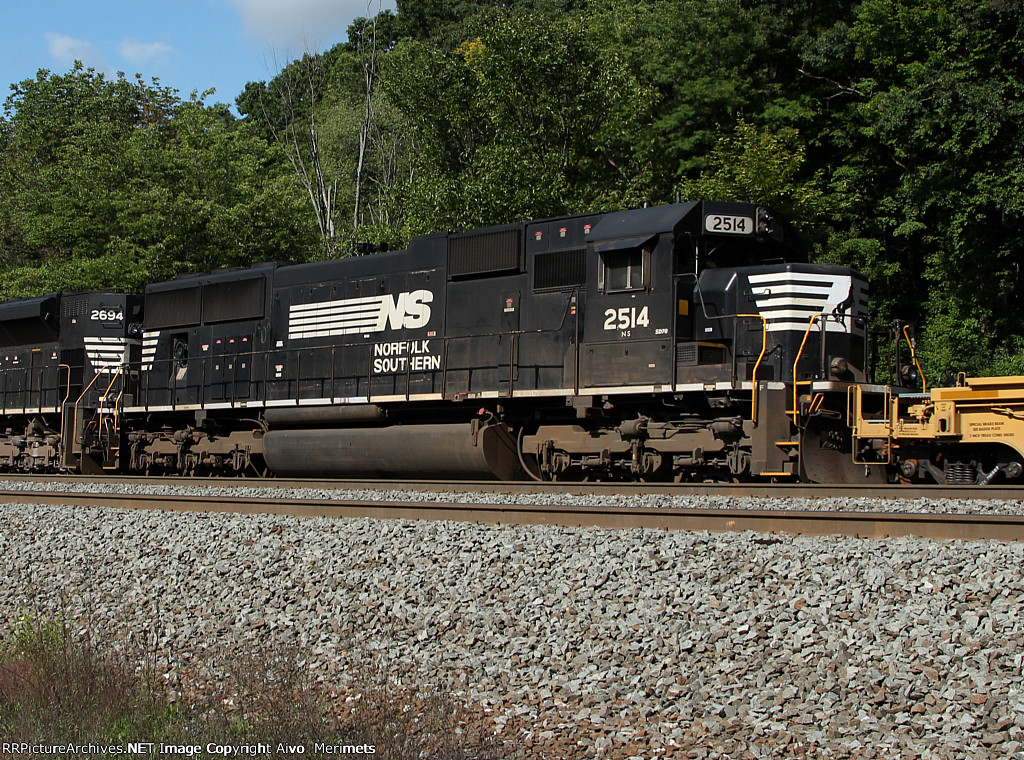 NS 2514 at Lilly